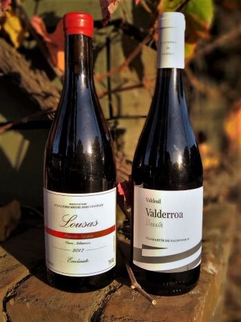 Prickly Pairings: Paella – Paul Marcus Wines