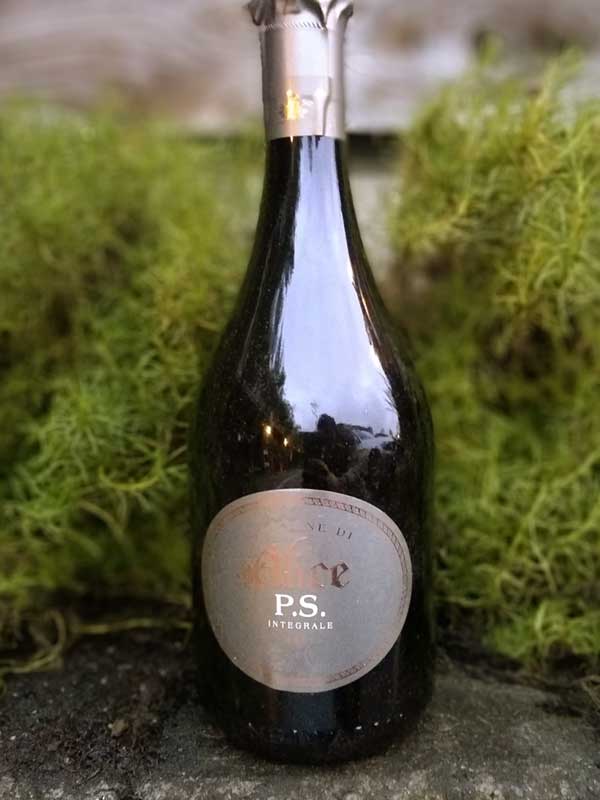 Celebrating Holidays: Sparkling Sippers – Paul Marcus Wines