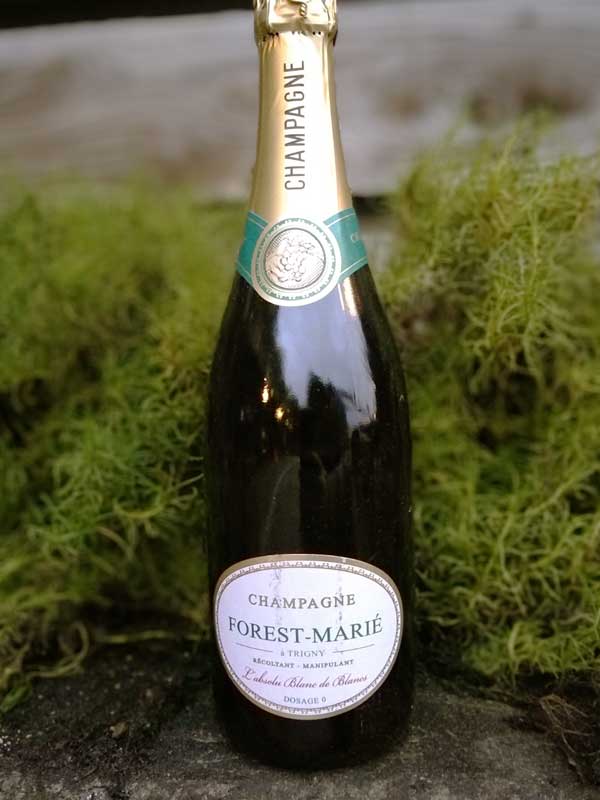 Celebrating Holidays: Sparkling Sippers – Paul Marcus Wines