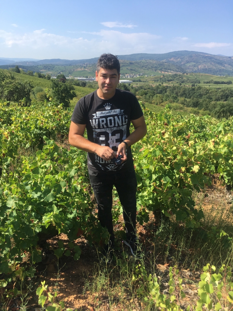 Why We Love: Mencía – Paul Marcus Wines